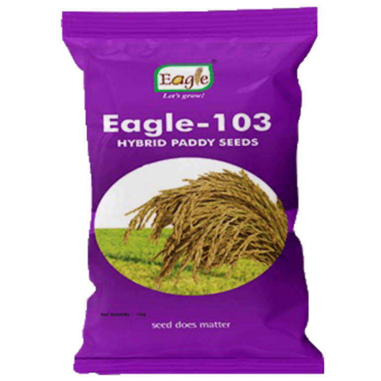 Best Paddy Seeds Company in India - Eagle Seeds