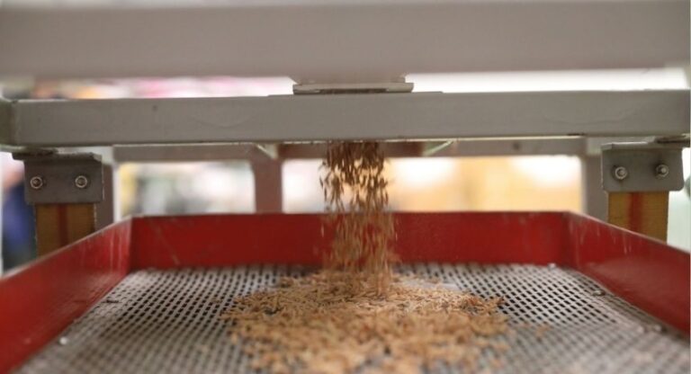Eagle Seeds - Processing